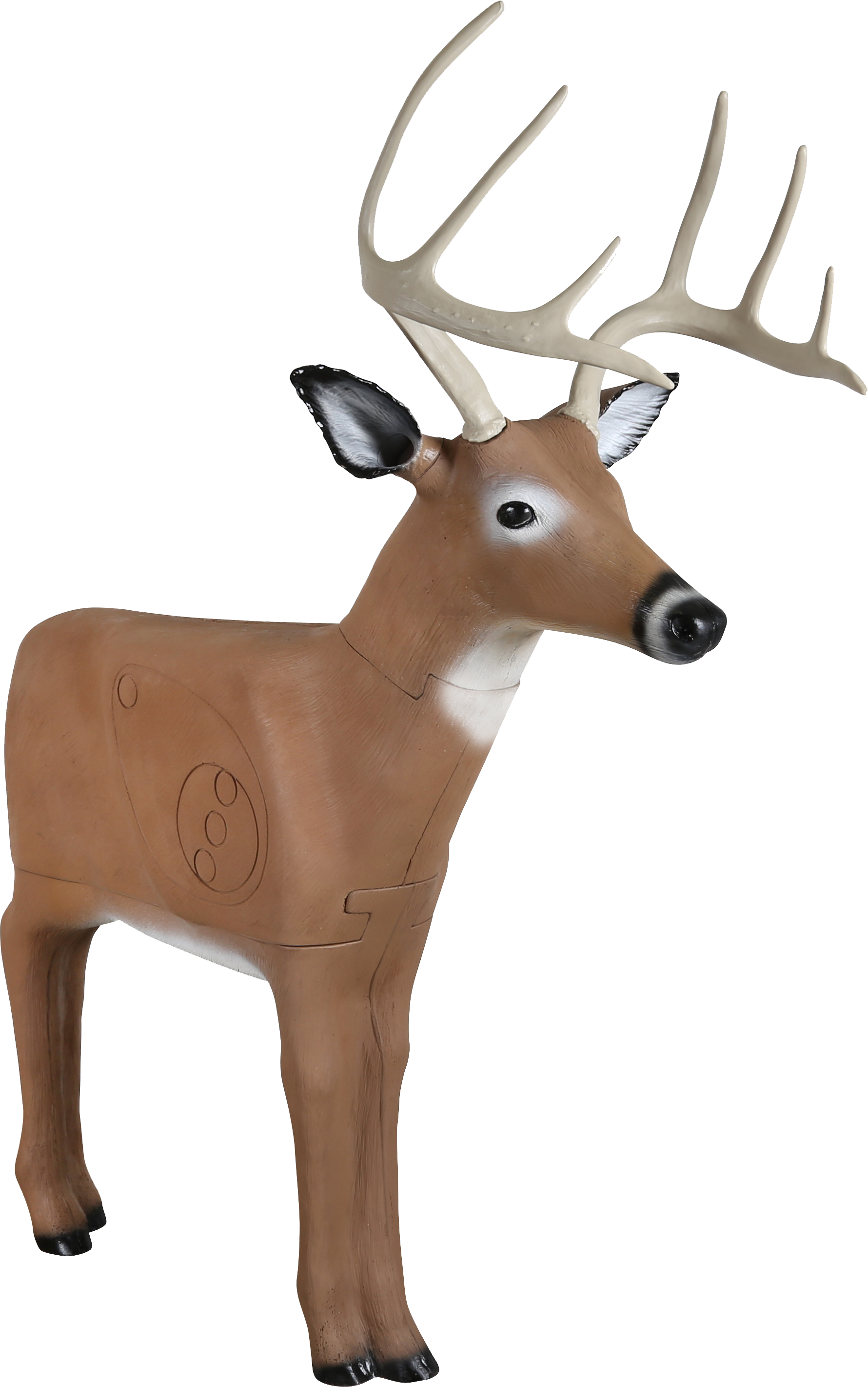 Delta McKenzie Baby Daddy Buck 3-D Target | Bass Pro Shops